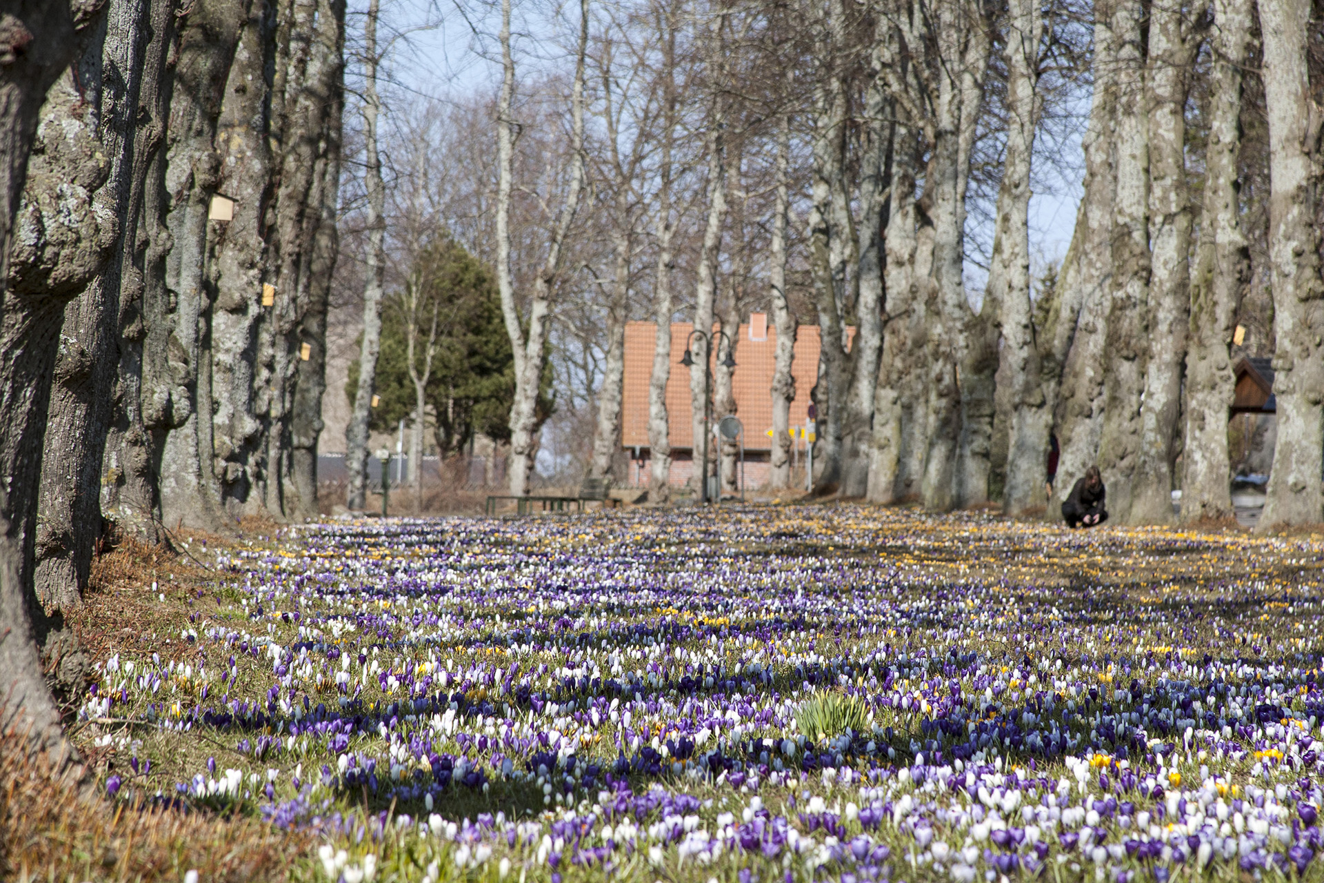 Gemeindeleben – Seite 3 – Gemeinde Barsbek